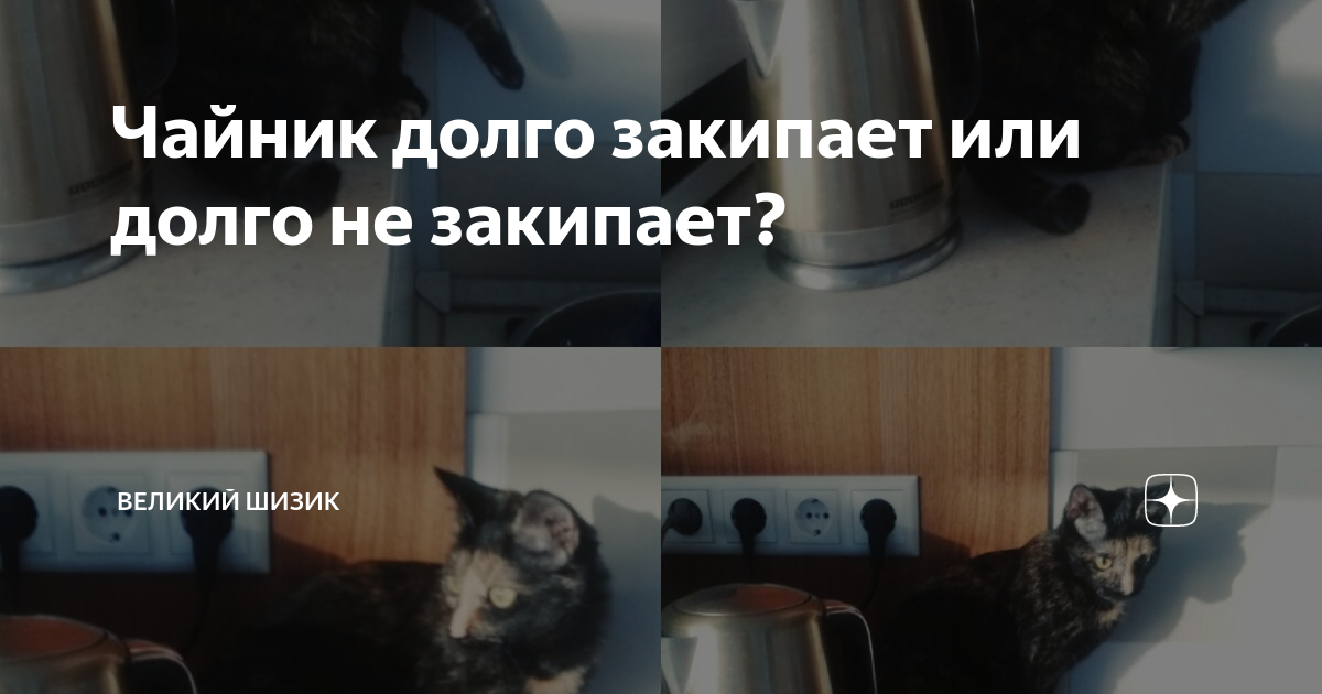 Чайник долго закипает или долго не закипает? | Великий Шизик | Дзен