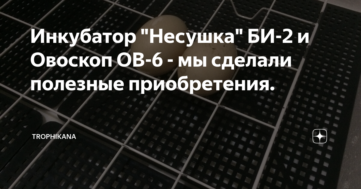 Инкубатор "Несушка" БИ-2 и Овоскоп ОВ-6 - мы сделали полезные ...