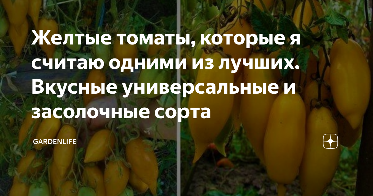 Желтые томаты, которые я считаю одними из лучших. Вкусные универсальные ...