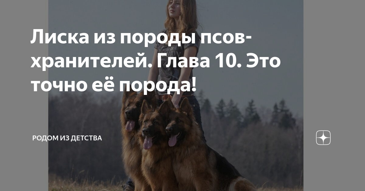 Лиска из породы псов-хранителей. Глава 10. Это точно её порода! | Родом ...