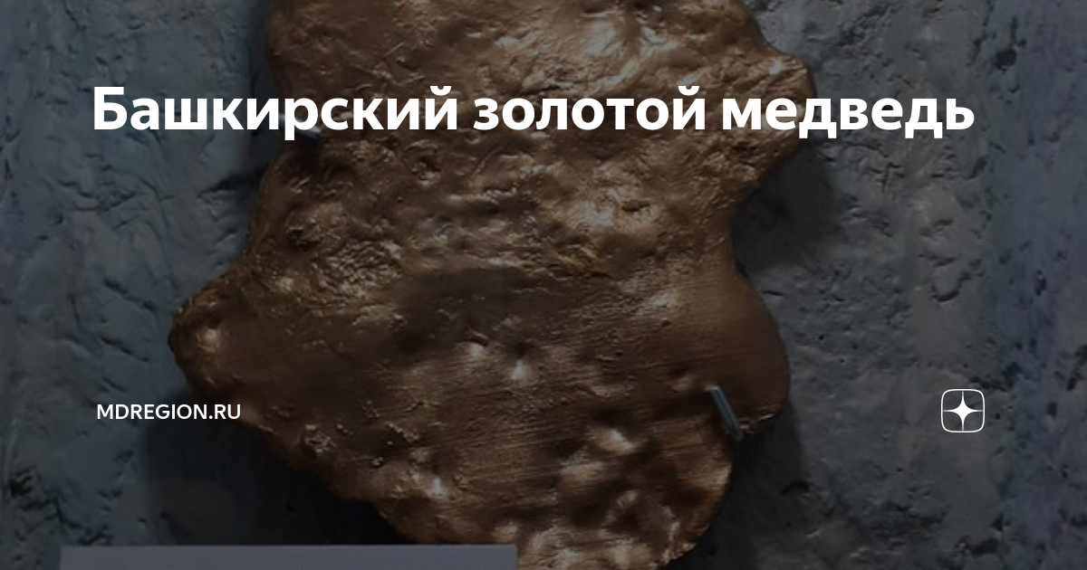 Башкирский золотой медведь | MDREGION.RU | Дзен