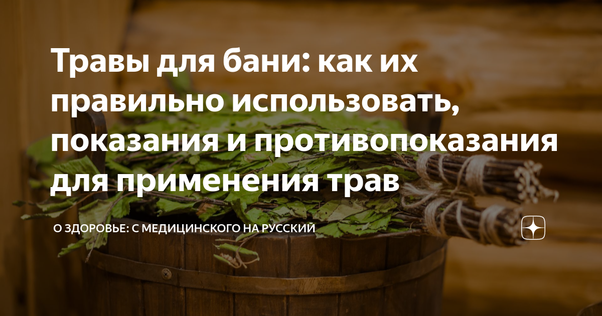 Травы для бани: как их правильно использовать, показания и ...