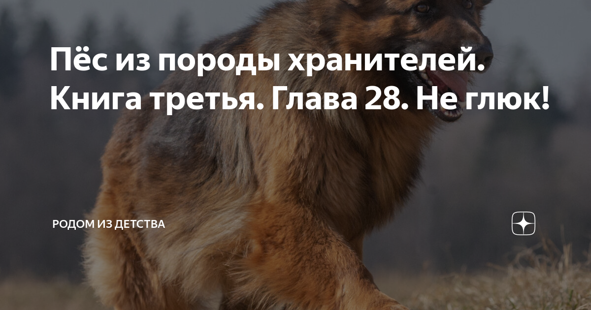 Пёс из породы хранителей. Книга третья. Глава 28. Не глюк! | Родом из ...
