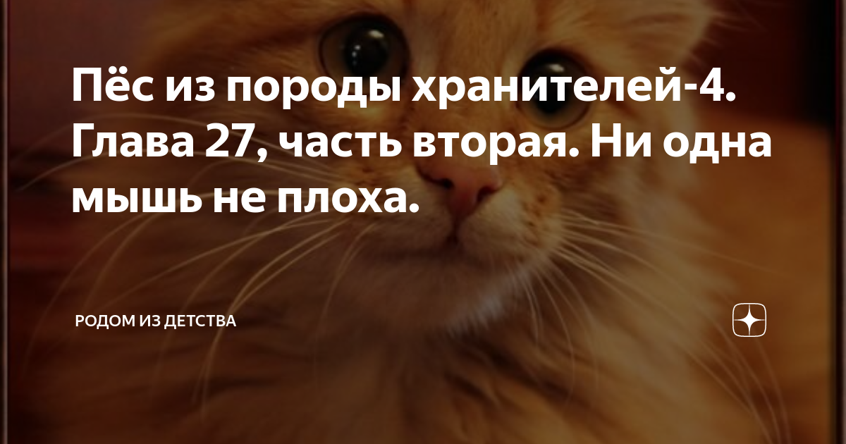 Пёс из породы хранителей-4. Глава 27, часть вторая. Ни одна мышь не ...