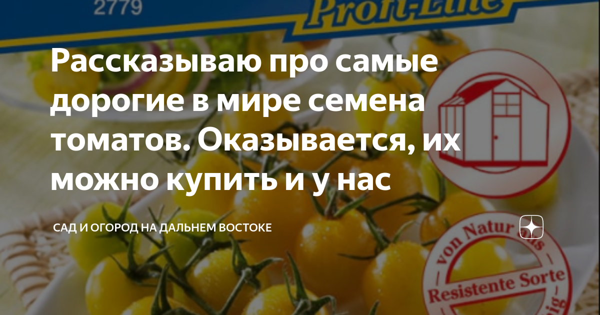 Рассказываю про самые дорогие в мире семена томатов. Оказывается, их ...