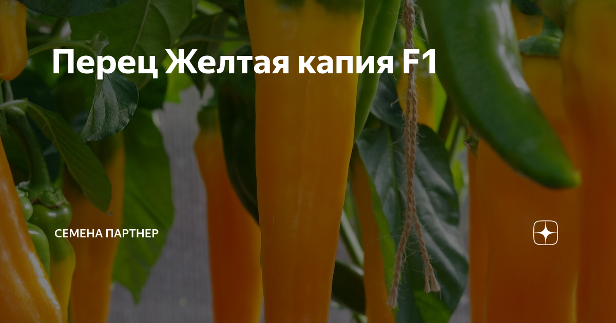 Перец Желтая капия F1 | Семена Партнер | Дзен