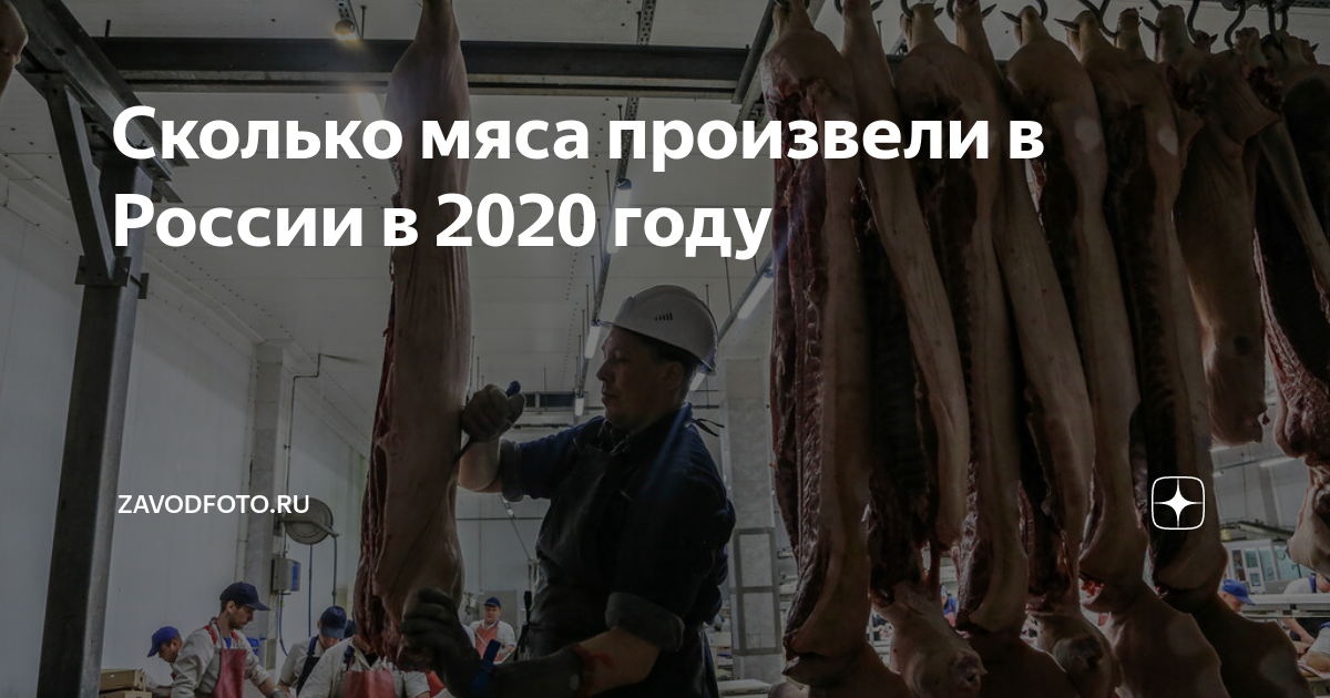 Сколько мяса произвели в России в 2020 году | ZAVODFOTO.RU | Дзен