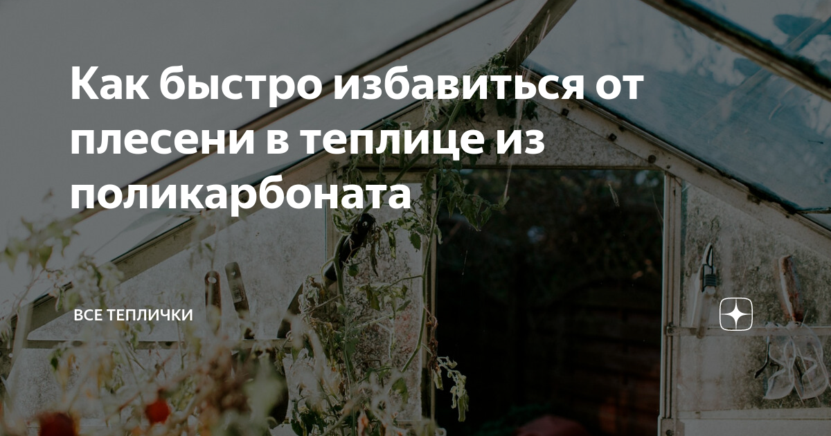 Как быстро избавиться от плесени в теплице из поликарбоната | Все ...