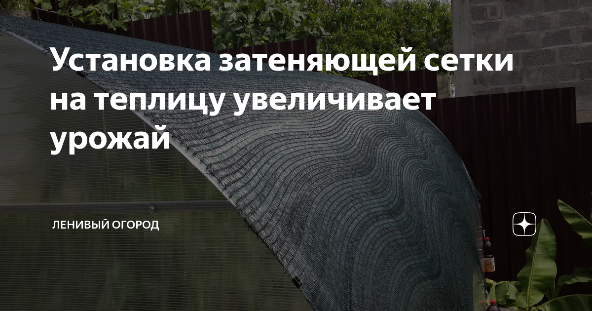 Установка затеняющей сетки на теплицу увеличивает урожай | С грядки - к ...