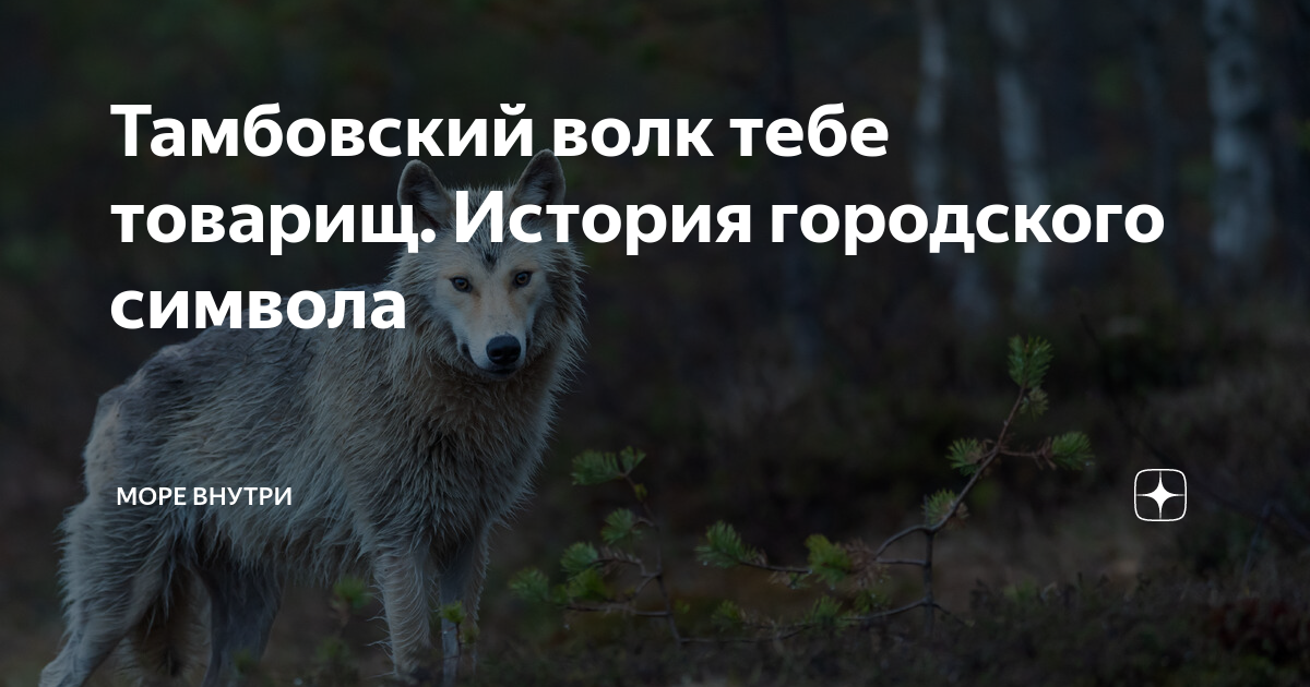 Тамбовский волк тебе товарищ. История городского символа | Море внутри ...