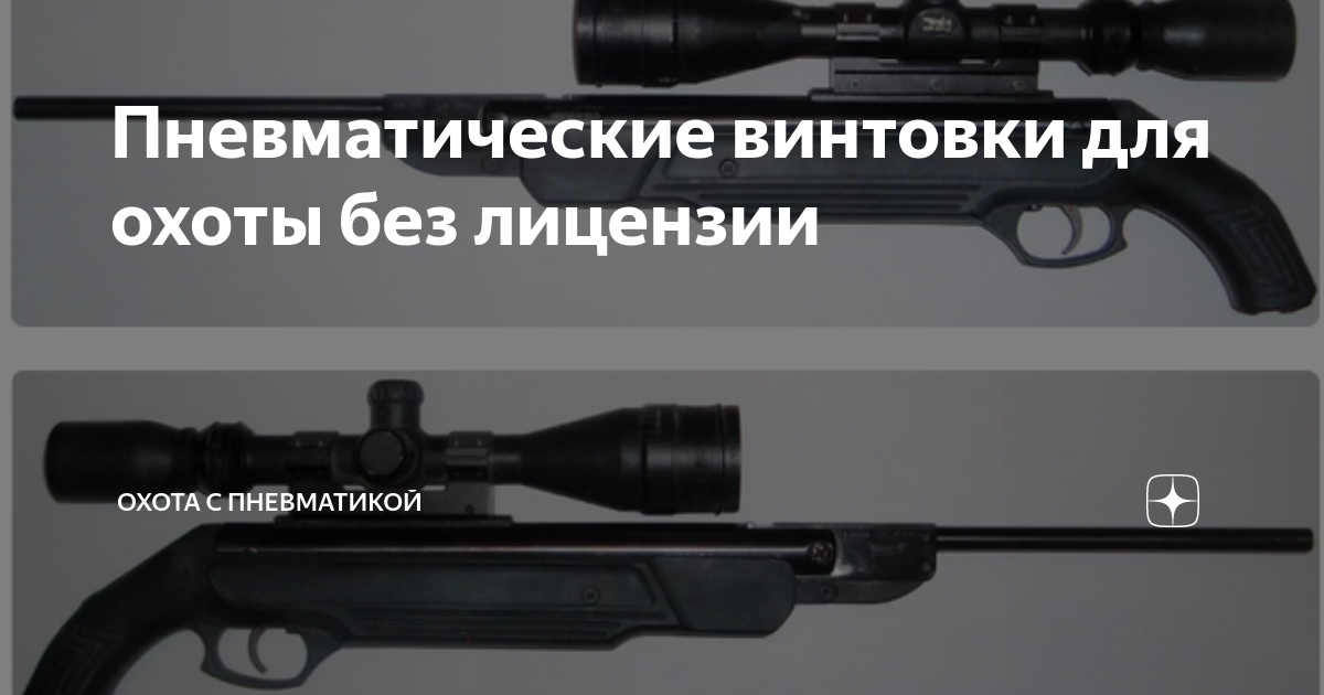 Пневматические винтовки для охоты без лицензии | ОХОТА С ПНЕВМАТИКОЙ | Дзен