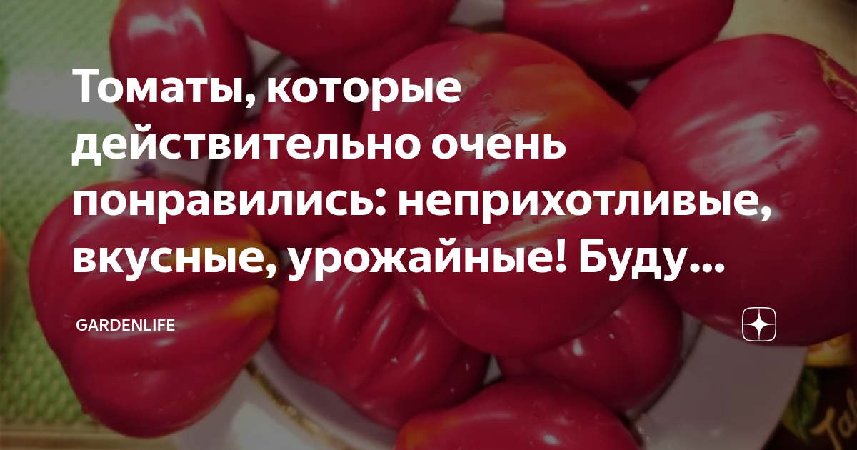 Томаты, которые действительно очень понравились: неприхотливые, вкусные ...