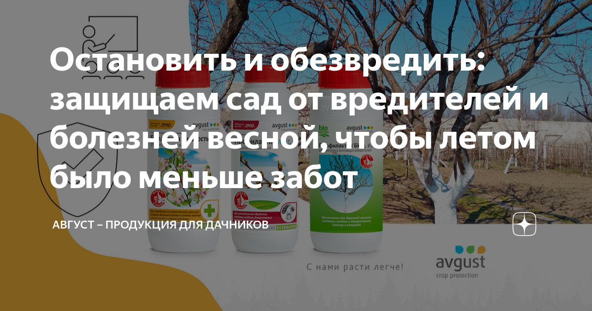 Остановить и обезвредить: защищаем сад от вредителей и болезней весной ...