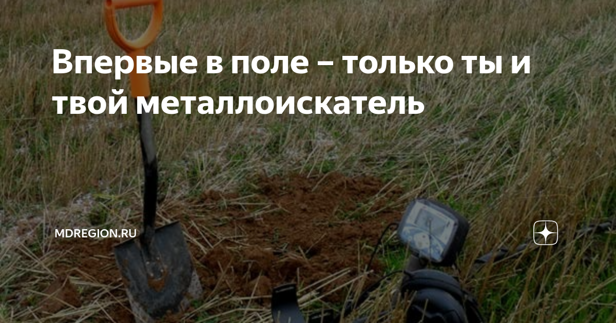 Впервые в поле – только ты и твой металлоискатель | MDREGION.RU | Дзен