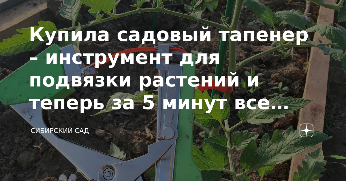 Купила садовый тапенер – инструмент для подвязки растений и теперь за 5 ...
