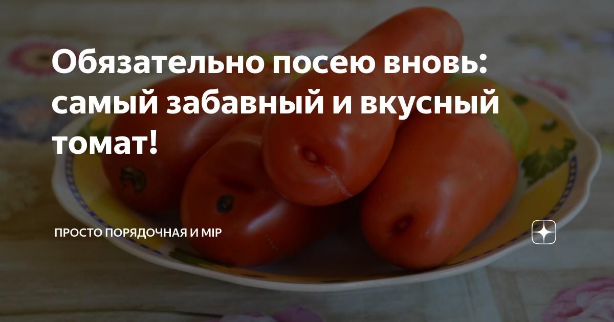 Обязательно посею вновь: самый забавный и вкусный томат! | Магазинная ...