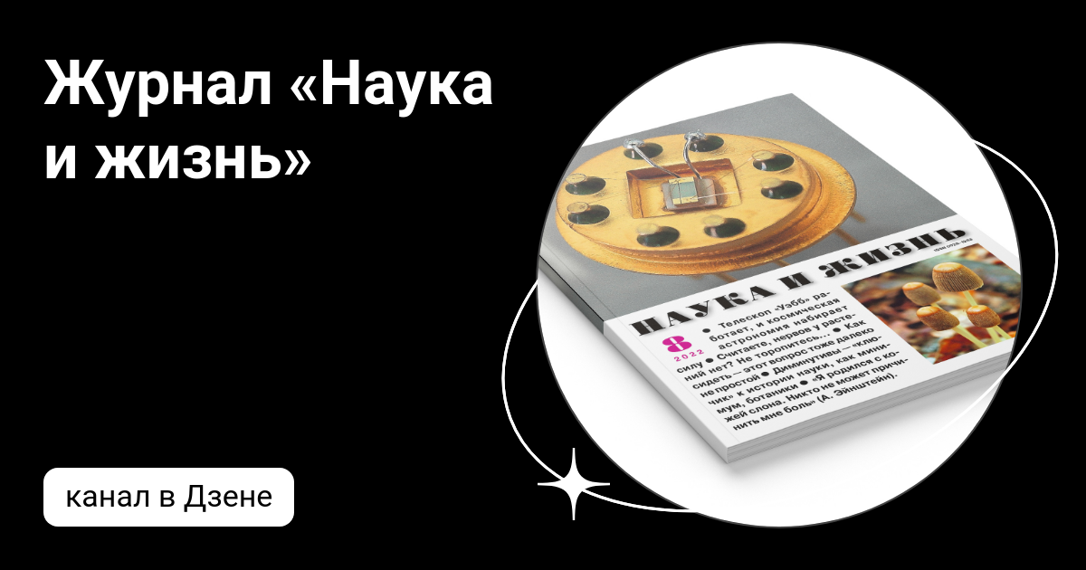 Журнал «Наука и жизнь»