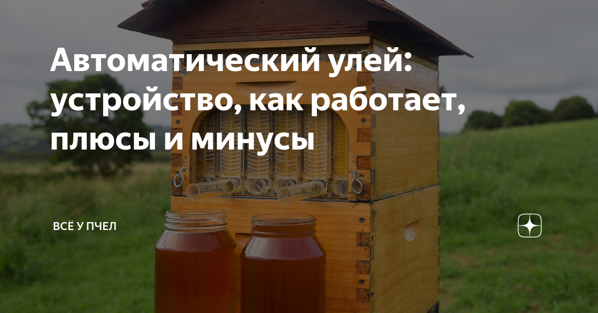 Автоматический улей: устройство, как работает, плюсы и минусы | Всё у ...