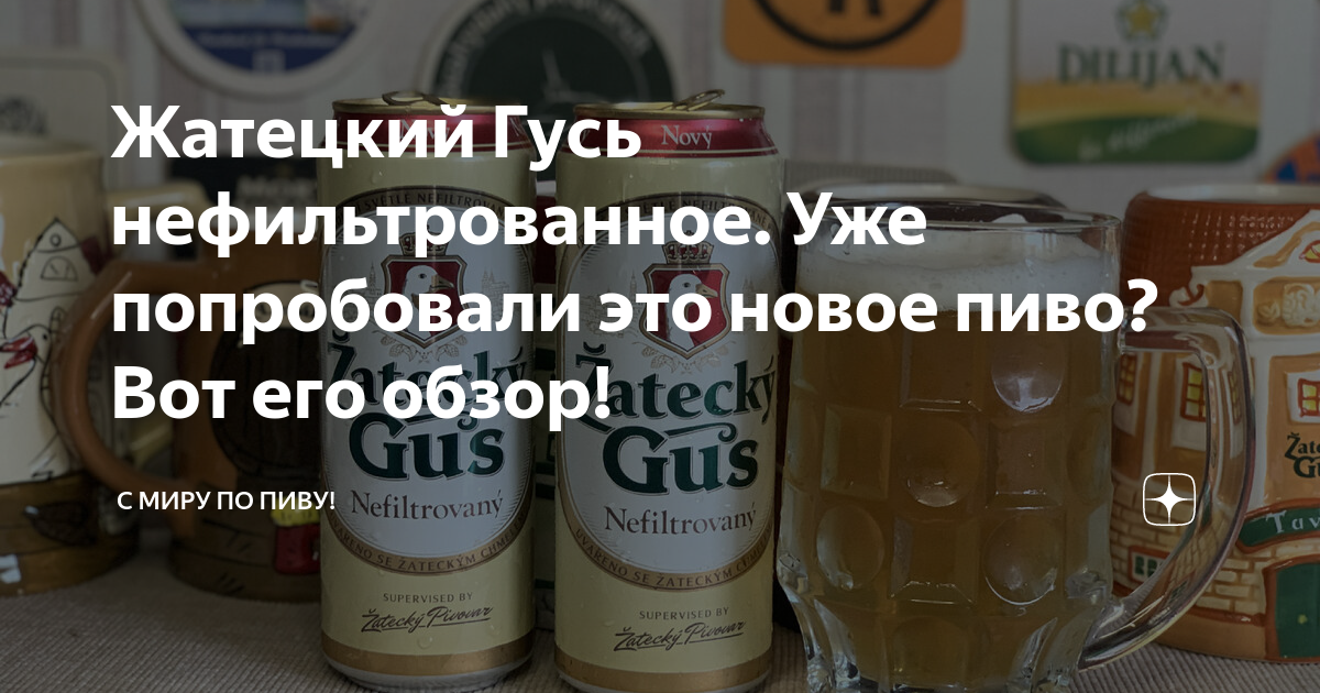 Жатецкий Гусь нефильтрованное. Уже попробовали это новое пиво? Вот его ...