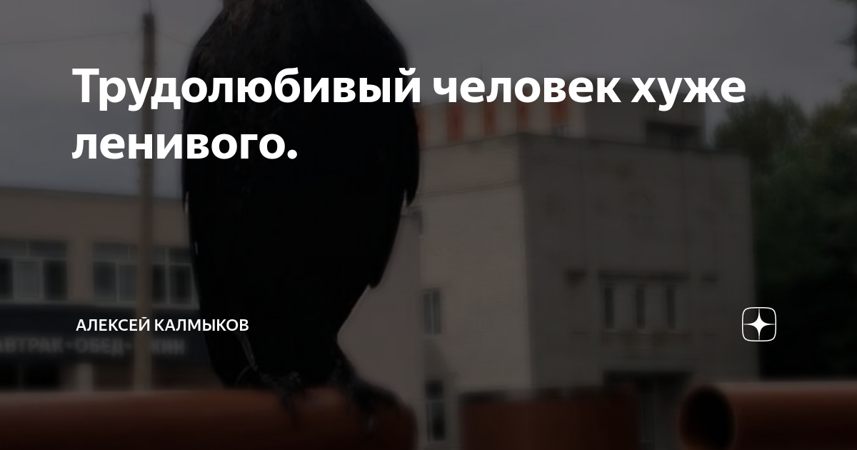 Трудолюбивый человек хуже ленивого. | Алексей Калмыков | Дзен