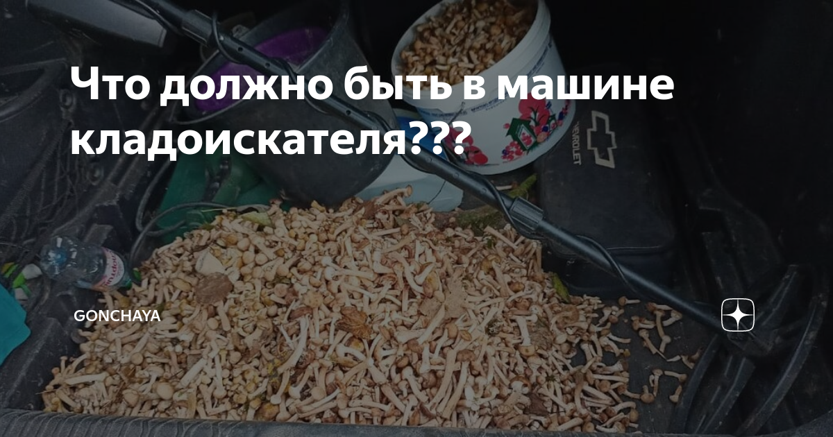 Что должно быть в машине кладоискателя??? | Gonchaya | Дзен