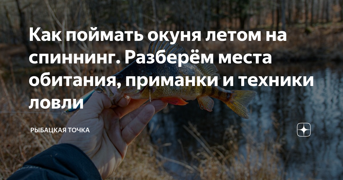 Как поймать окуня летом на спиннинг. Разберём места обитания, приманки ...