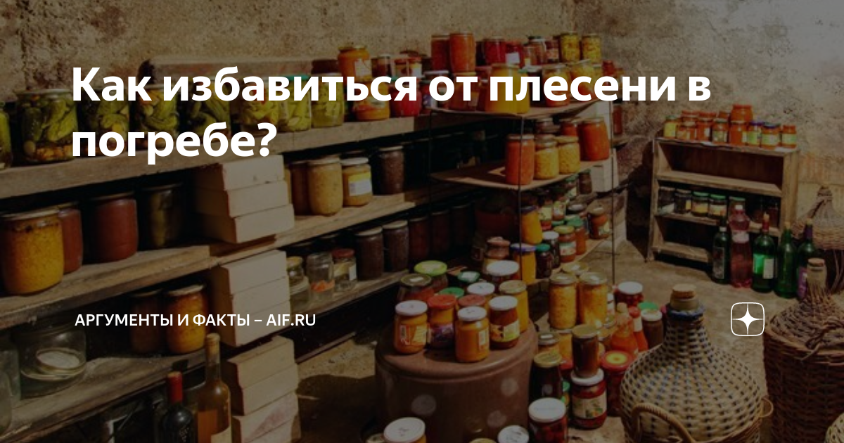 Как избавиться от плесени в погребе? | Аргументы и факты – aif.ru | Дзен