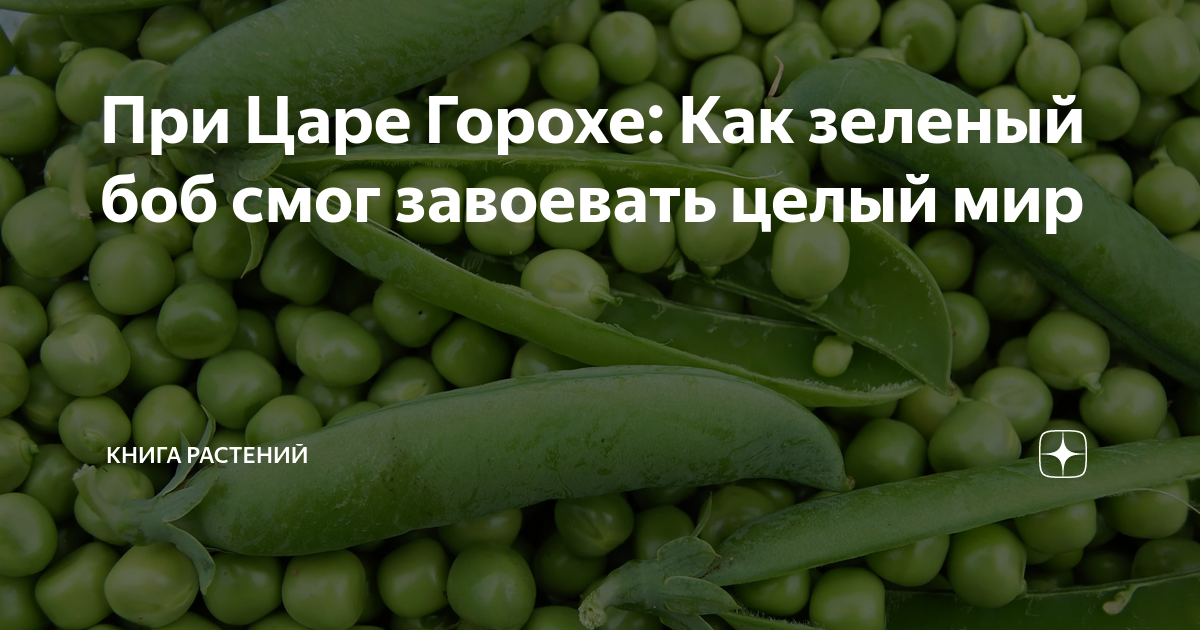 При Царе Горохе: Как зеленый боб смог завоевать целый мир | Книга ...
