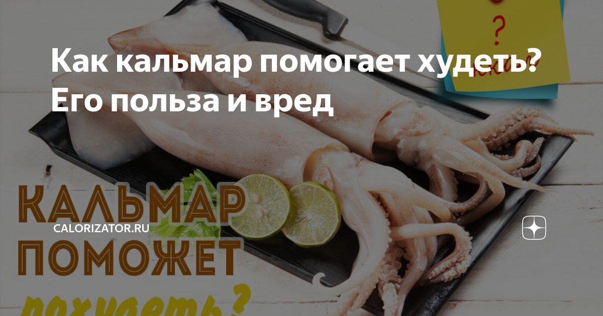 Как кальмар помогает худеть? Его польза и вред | Calorizator.ru | Дзен