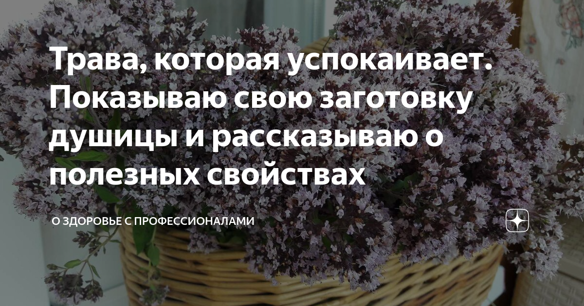 Трава, которая успокаивает. Показываю свою заготовку душицы и ...