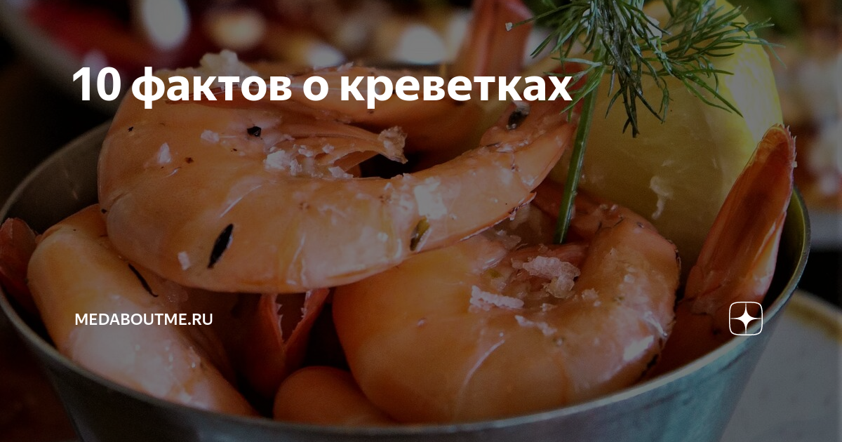 10 фактов о креветках | Medaboutme.ru | Дзен