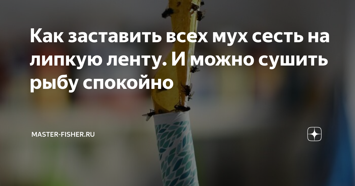 Как заставить всех мух сесть на липкую ленту. И можно сушить рыбу ...