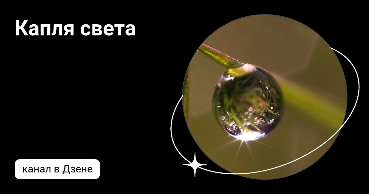 Капля света Дзен