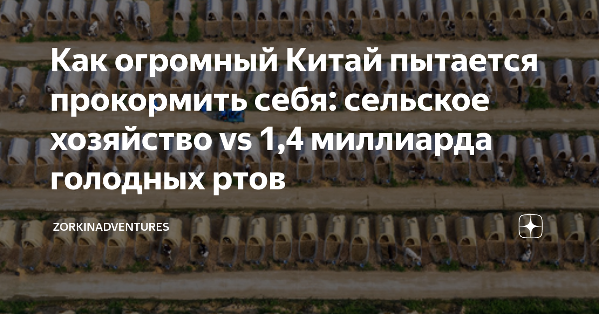 Как огромный Китай пытается прокормить себя: сельское хозяйство vs 1,4 ...