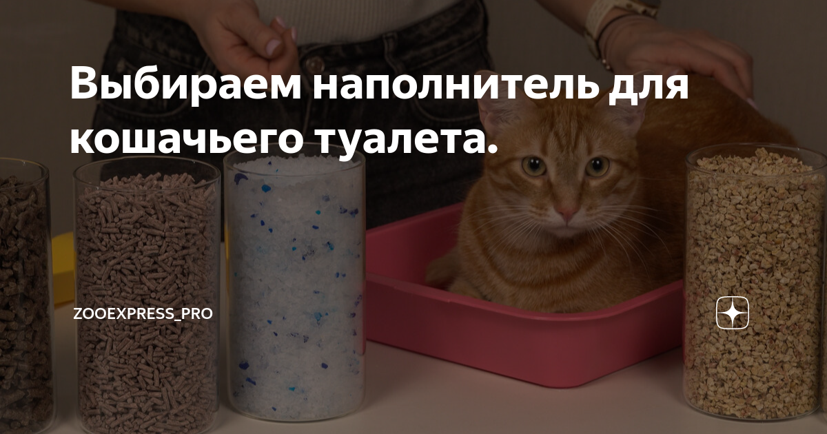 Выбираем наполнитель для кошачьего туалета. | ZOOEXPRESS_PRO | Дзен
