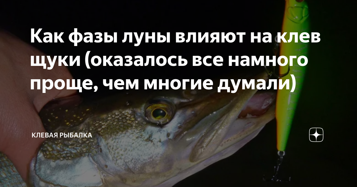 Как фазы луны влияют на клев щуки оказалось все намного проще чем