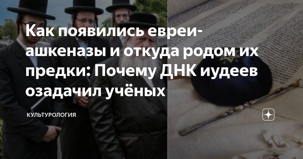Как появились евреи-ашкеназы и откуда родом их предки: Почему ДНК ...