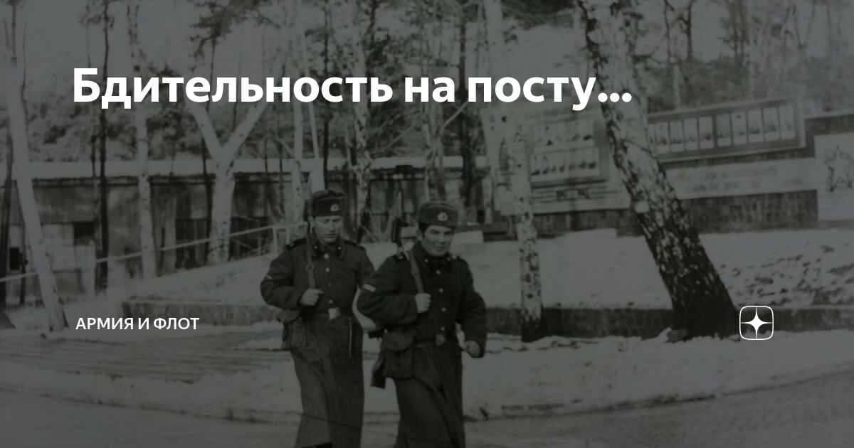 Бдительность на посту... | Россия, Армия и Флот | Дзен