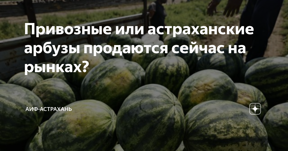 Привозные или астраханские арбузы продаются сейчас на рынках? | АиФ ...