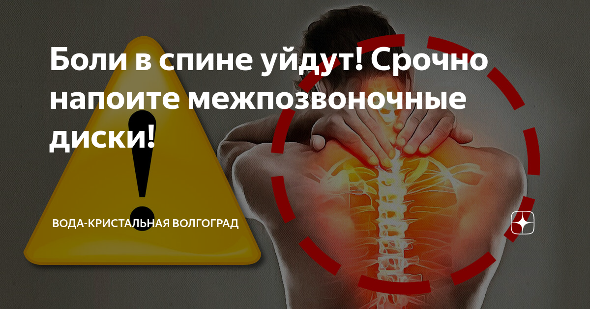 Боли в спине уйдут! Срочно напоите межпозвоночные диски! | Вода ...