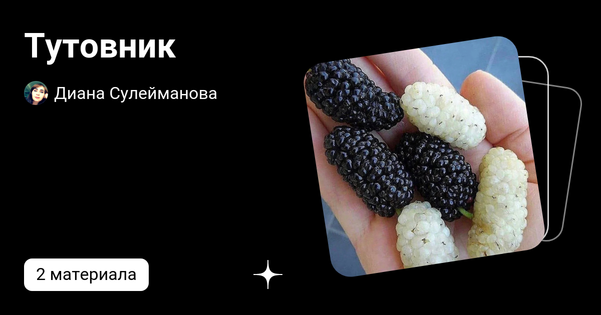 Тутовник | Диана Сулейманова | Дзен