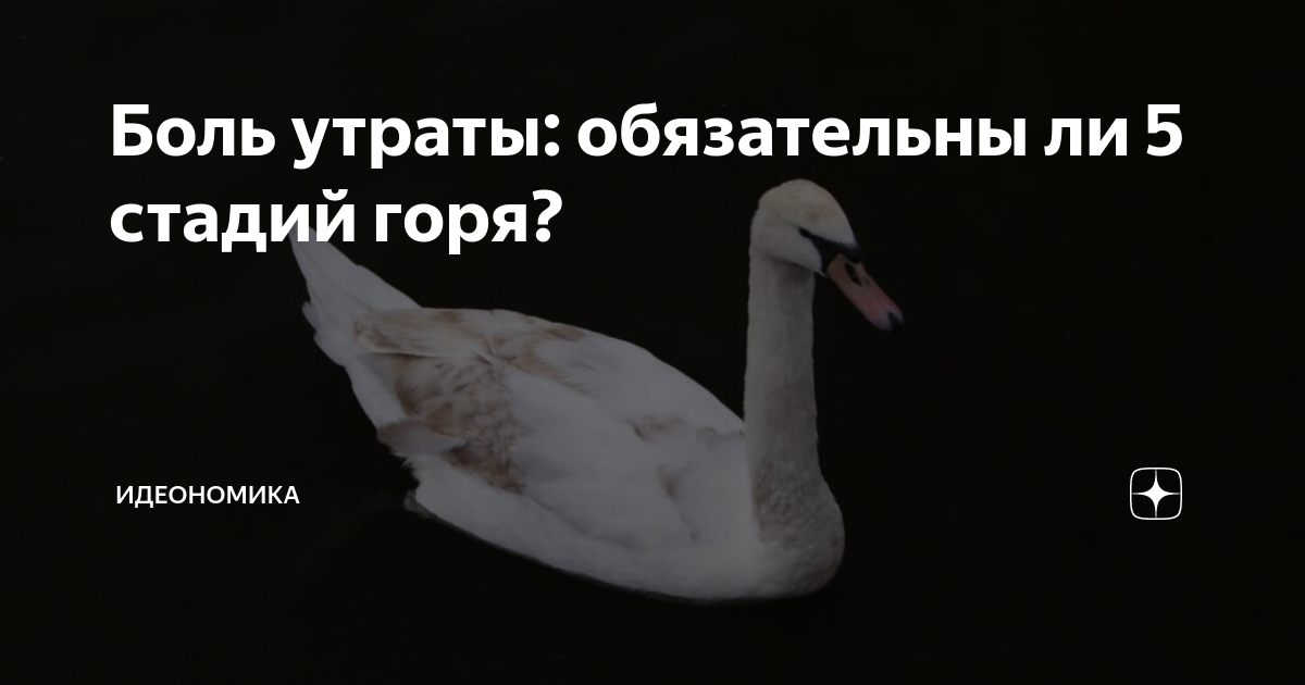 Боль утраты: обязательны ли 5 стадий горя? | Идеономика | Дзен