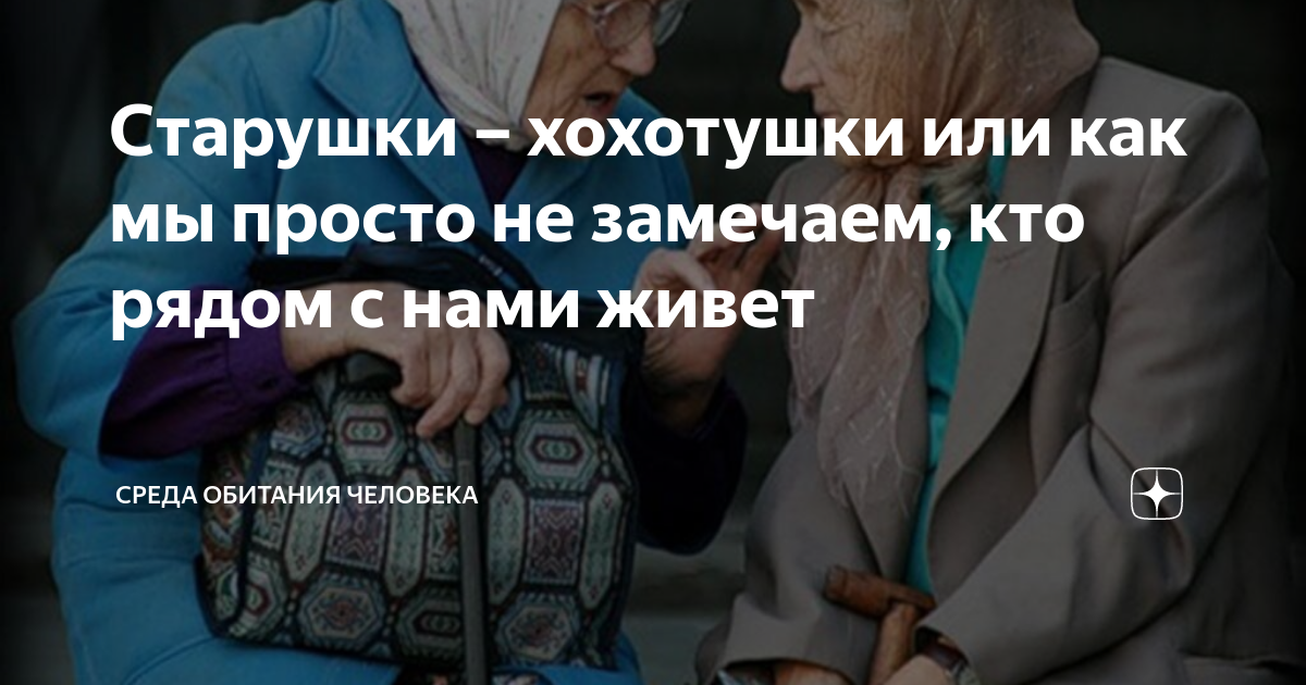 Старушки хохотушки или как мы просто не замечаем кто рядом с нами живет СРЕДА ОБИТАНИЯ