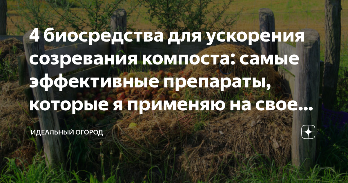 4 биосредства для ускорения созревания компоста: самые эффективные ...