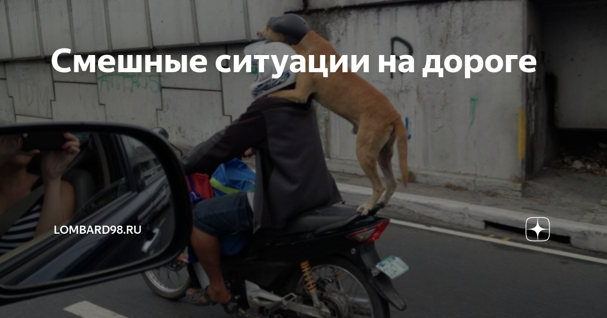 Смешные ситуации на дороге | Автодрайв | Дзен