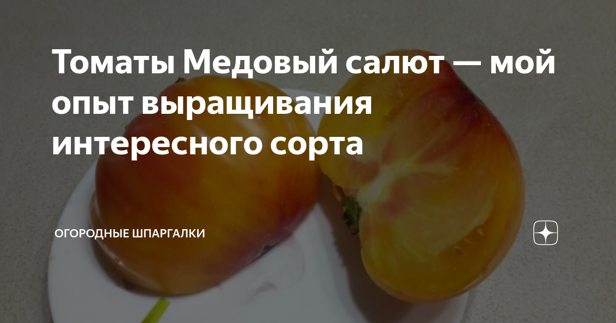 Томаты Медовый салют — мой опыт выращивания интересного сорта ...
