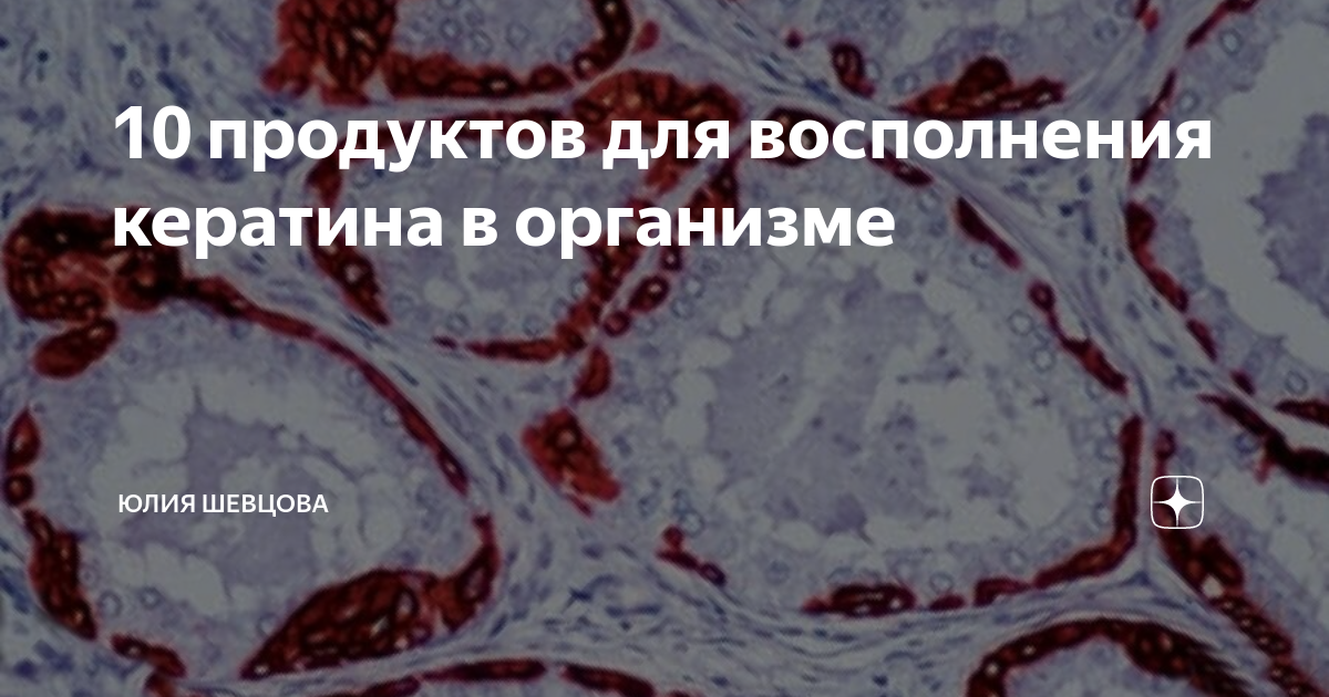 10 продуктов для восполнения кератина в организме | Сила образа | Дзен