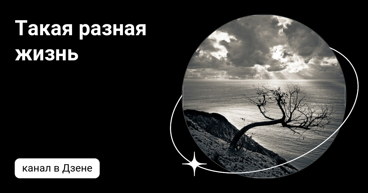 Такая разная жизнь | Дзен