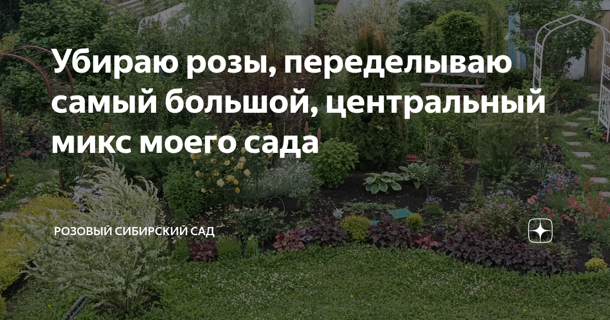 Убираю розы, переделываю самый большой, центральный микс моего сада ...