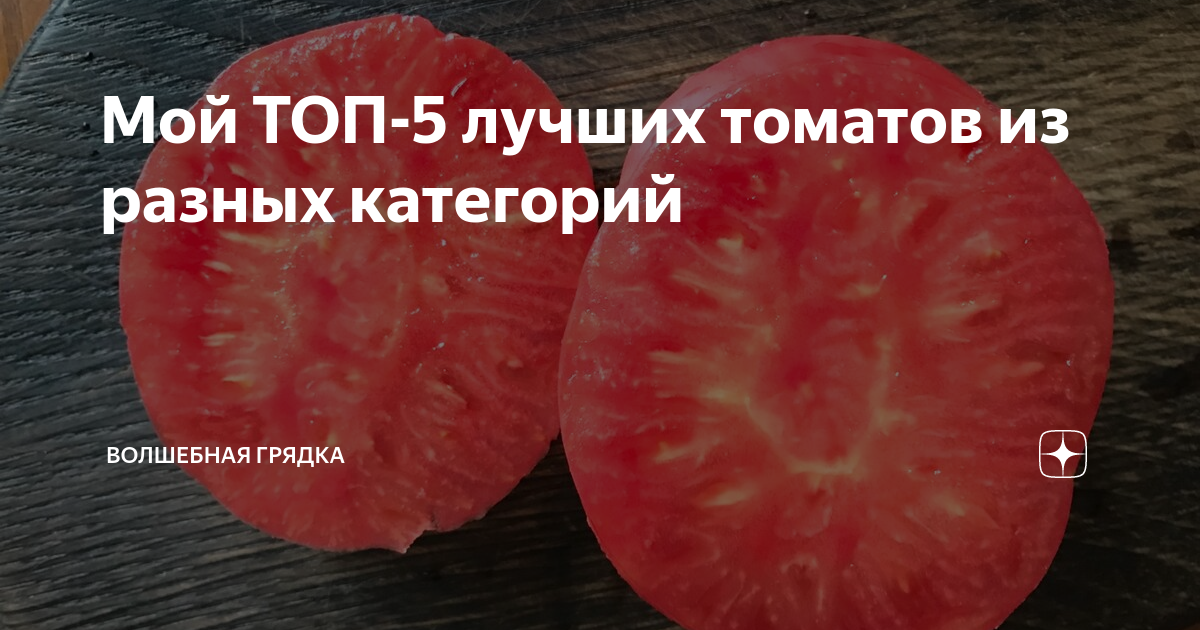 Мой ТОП-5 лучших томатов из разных категорий | Волшебная грядка | Дзен